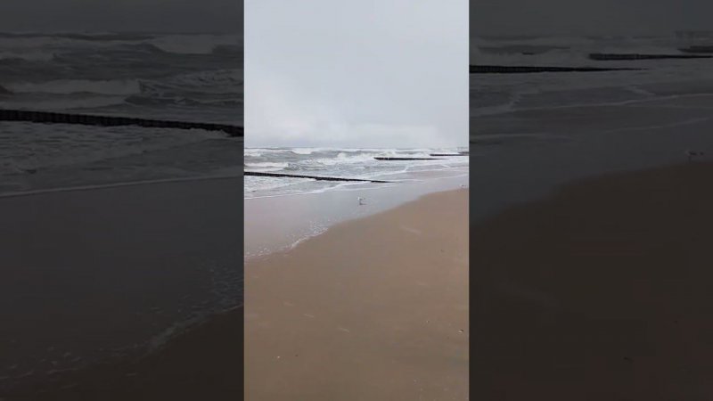 БАЛТИЙСКОЕ МОРЕ В ДЕКАБРЕ 6
