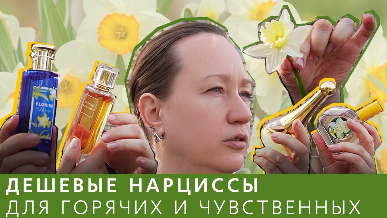 Обзор четырех бюджетных ароматов про медовый нарцисс