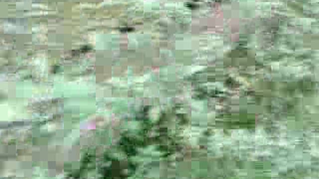 ручей в коломенском