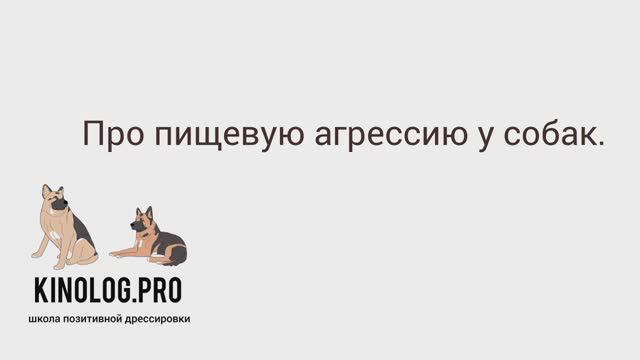 Пищевая агрессия у собаки. Про вредные советы.