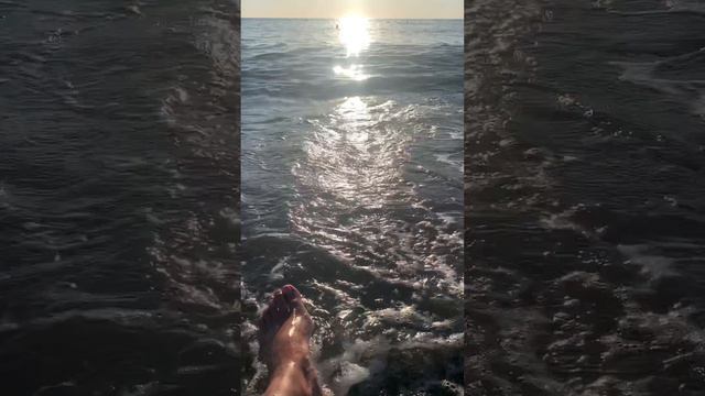 Море Сочи 2024