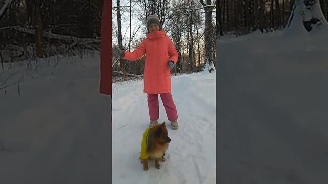 #adam Бобби Хелмс☕Jingle Bell Rock?#tiktok #shorts.mp4