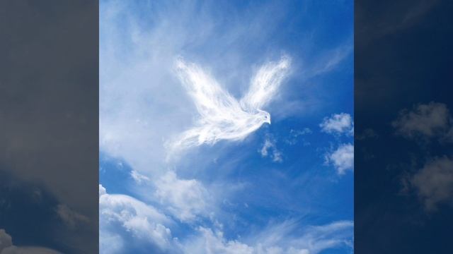 Сашка Jeff-Птица.❤️❤️❤️(Музыка и слова: А. Игнатьев ; Аранжировка: А. Иванов)