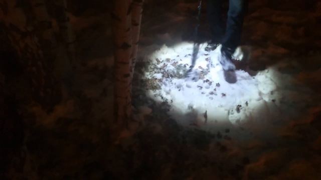 Потерял обручальное кольцо в снегу, что делать_