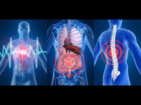 Лидия Тымуш, врач нутрициолог(Латвия)