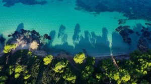 Эта музыка уносит в даль хочется слушать и слушать снова