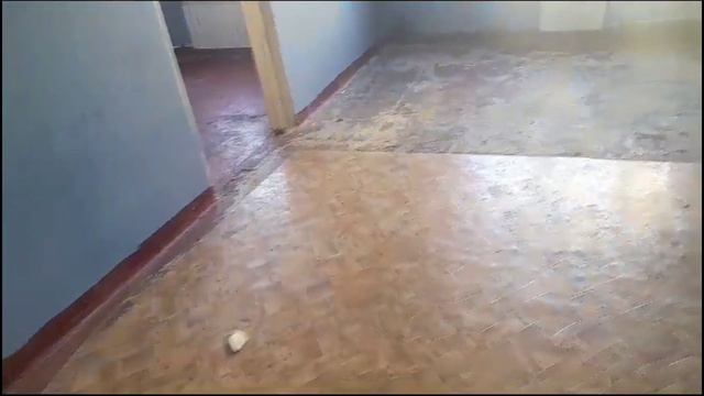 квартира 215