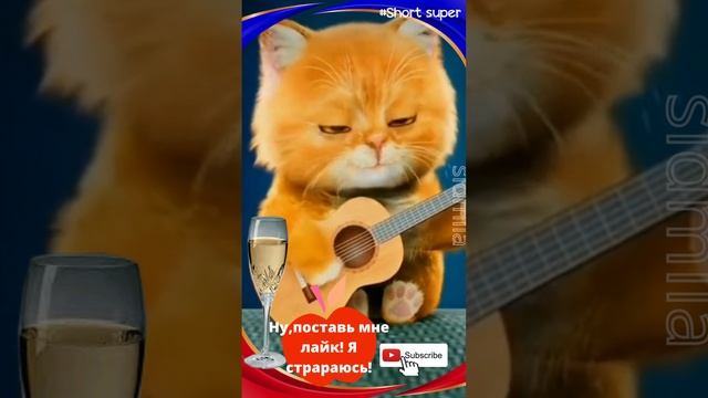 Прикольно, весело, развлекуха! Сегодня ПЯТНИЦА, пятница, пятница