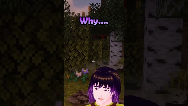 Me, come prepared?? -  #minecraftstreamer #minecraft #vtuber