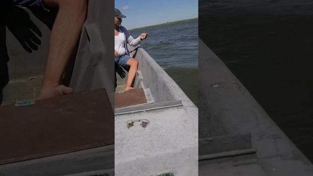 РЫБАЛКА НА РЕКЕ БАХТЕМИР. СУДАК НЕ ДАЁТ ОТДЫХА. НО БЫВАЮТ И ОБИДНЫЕ СХОДЫ.