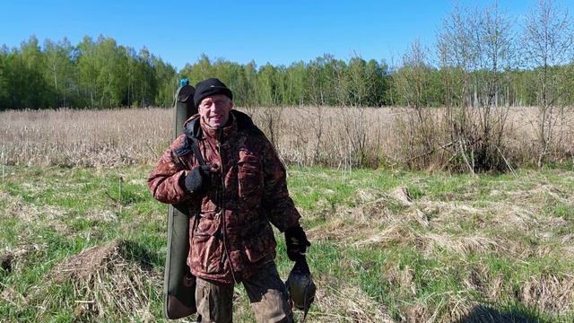 ВЕСЕННЯЯ ОХОТА НА СЕЛЕЗНЯ. ЯРОСЛАВСКАЯ ОБЛАСТЬ. ОХОТА В РОССИИ.