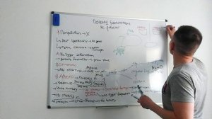 Почему Бесплатное Не Работает - Ринат Зайнуллин