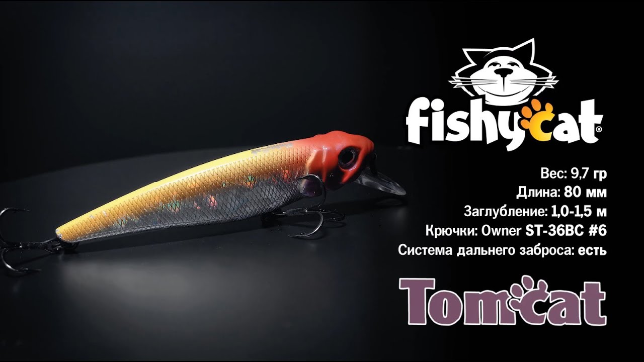 Fishycat Tomcat 80SP-SR в деле! Техника и способы проводки.