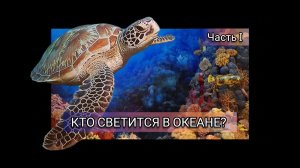 Терапевтические сказки: часть 1, Метеорит и черепашек