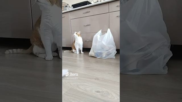 120 тыс. куда потратили?