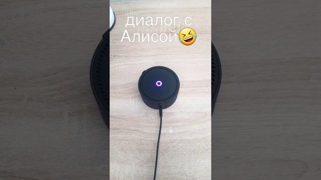 Типичный диалог с Алисой #колонкаАлиса#подпишись#лайкните#
