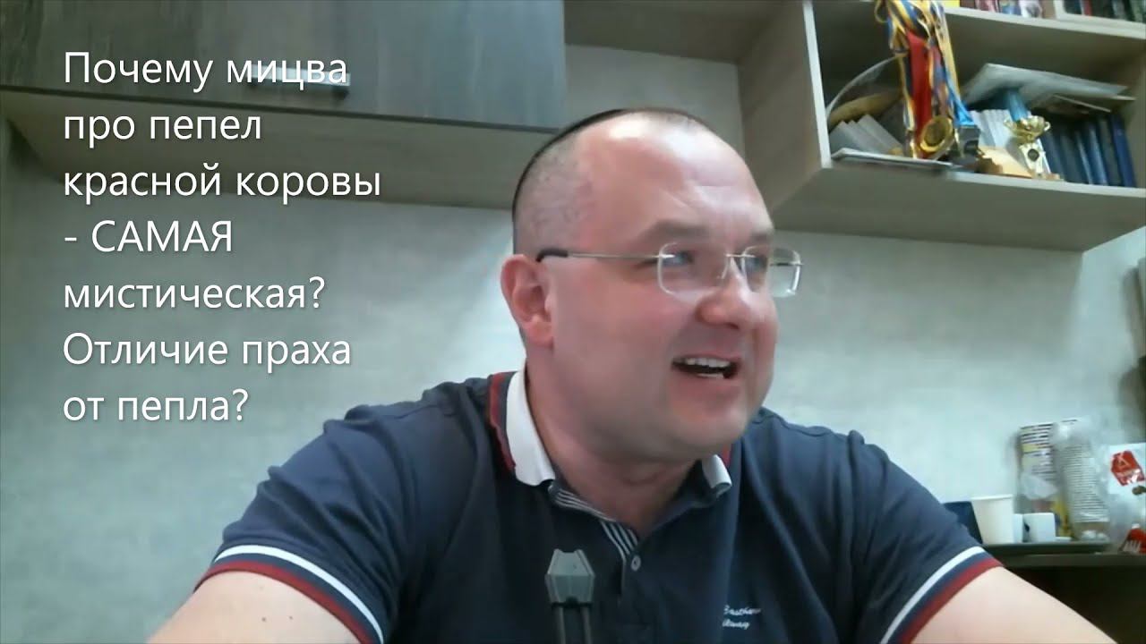 Отличие праха от пепла. Самая мистическая глава про красную корову. Недельная глава Хукат
