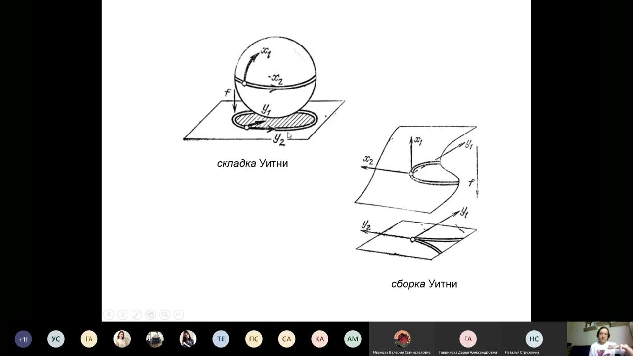 Теория бифуркаций и катастроф