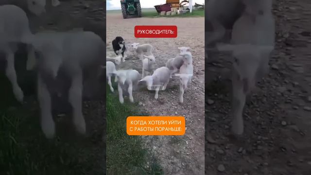 Когда хотел уйти с работы пораньше :)