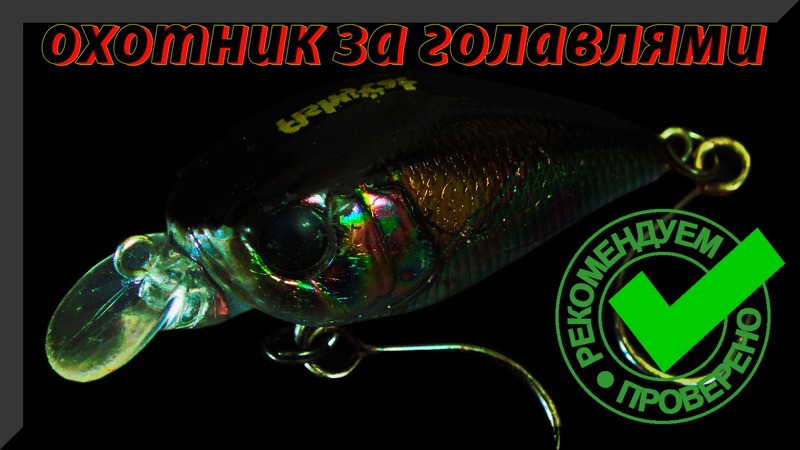 Fishycat iCat32F-SR, как Воблер на Голавля.Оригинальный воблер с рабочими качествами Smith CamionSR.