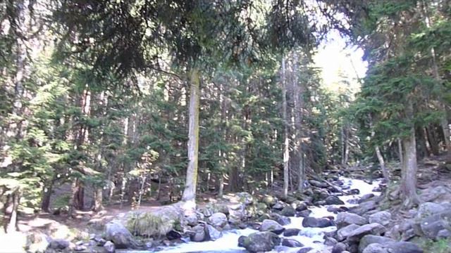 горная река из Домбая