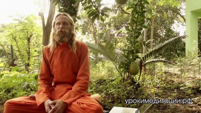 Мечта о Вдохновляющей семье | Главные законы гармонии