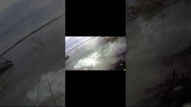 Огромный бобёр разогнал всю рыбу. Случай на рыбалке