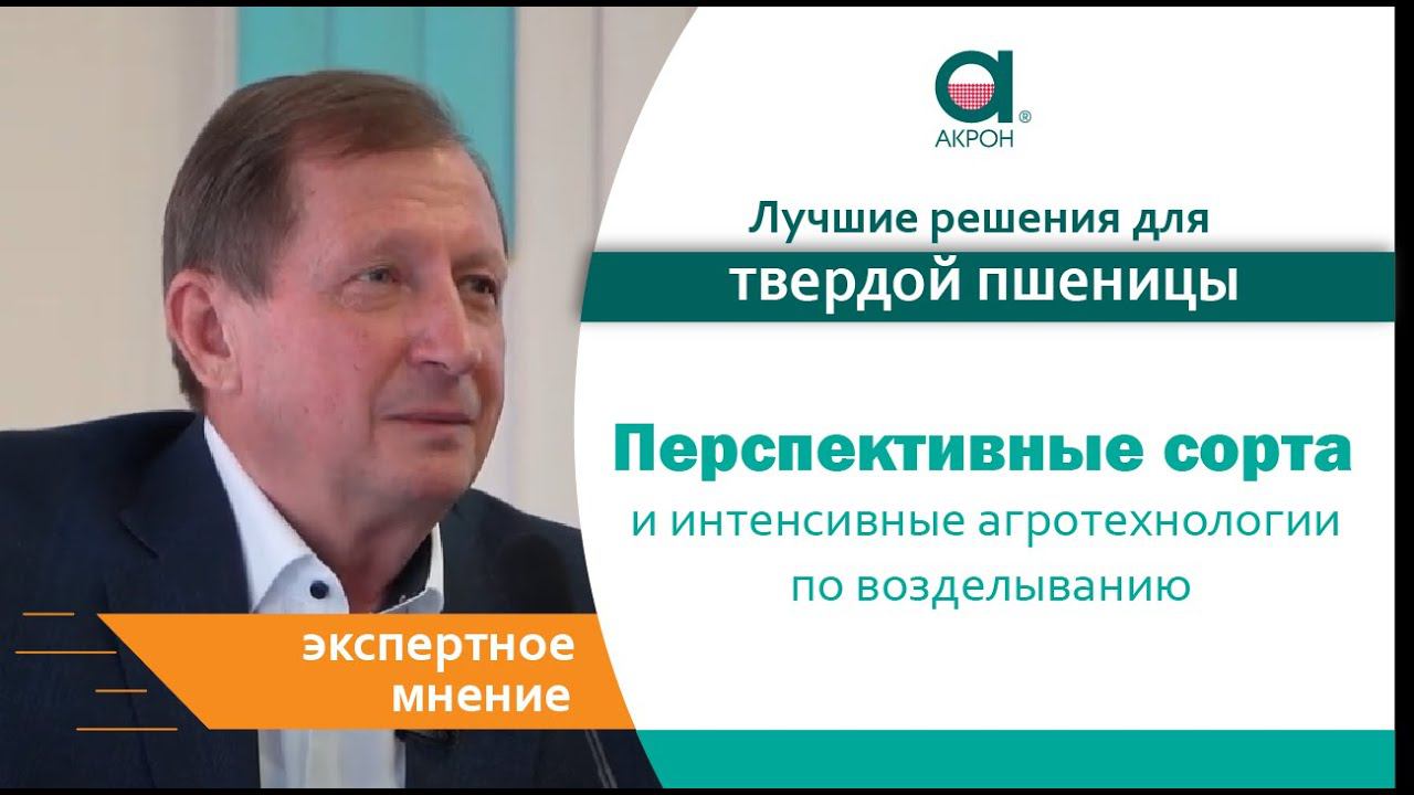 Перспективные сорта и интенсивные агротехнологии по возделыванию твердой пшеницы