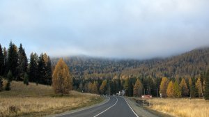 Слайдшоу - Горный Алтай . Чемал, Аскат, Чепош и др.