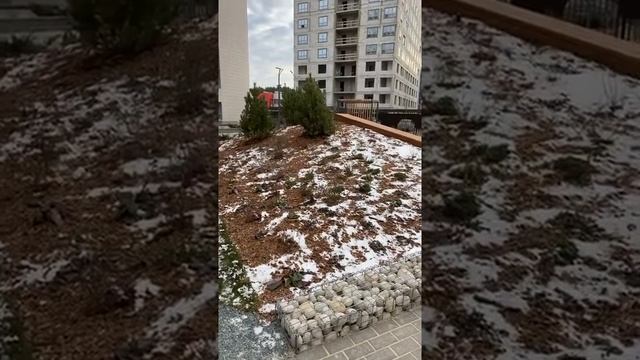 Прямой эфир с «Унистрой» ЖК «Весна» (вторая очередь), ноябрь 2020