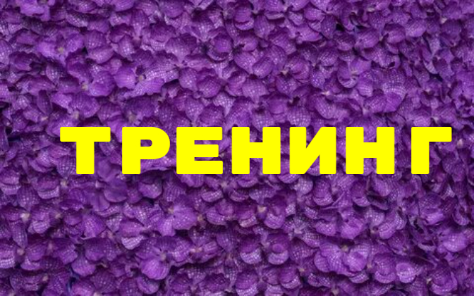 Мультик о команде.