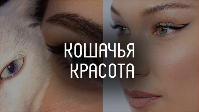 ? Кошачья красота l саблиминал l скрытые аффирмации l Mila