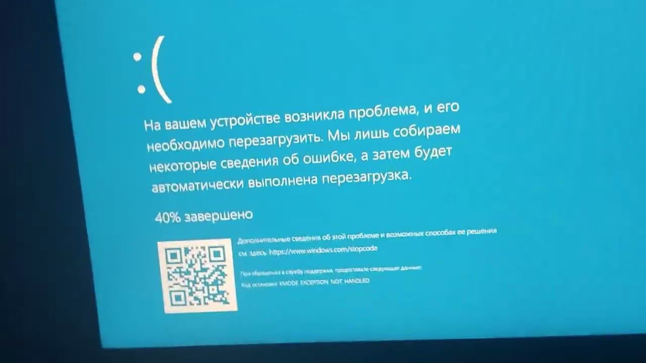 птица + синий экран смерти #птица #компьютер #синийэкран #notmyfault