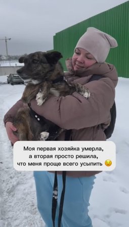 #ПриютЮАО_Триша #ищетдом #возьмиизприюта