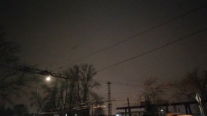 2022.11.30. Погода Петербург. 08:00. - 4°. Холодный ветер. Всемирный день домашних животных.