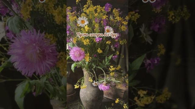 Любовь На Бис#зарарозембаум#доброеутро#выходные#shorts