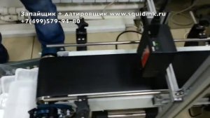 Установка CoPilot в качестве датировщика на запайщик лотков с конвейером