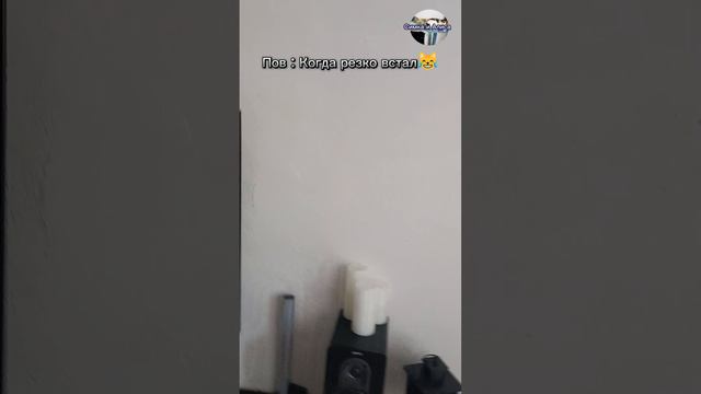 Пов : Когда резко встал😹 | Симка и Алиса Rutube