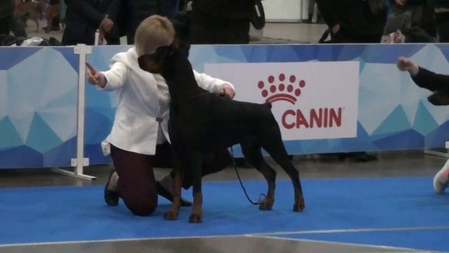 Евразия 2019 1-й день 23 февраля