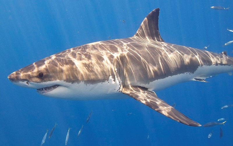 Просто захватывает дух