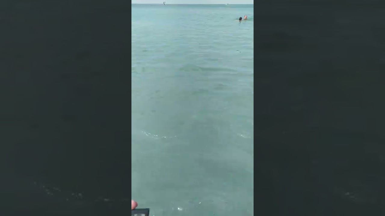Новомихайловский сегодня 18.07.2022. Море, пляж и море отдыхающих.