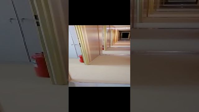 Жилые помещения в модульном здании Containex