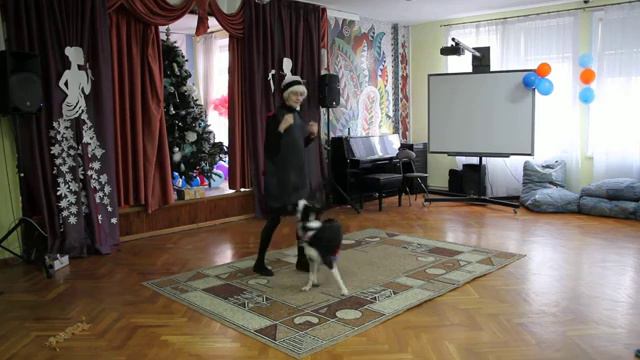 Благотворительные выступления.2013
