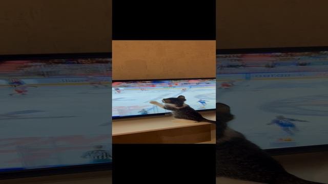 19-03-2024