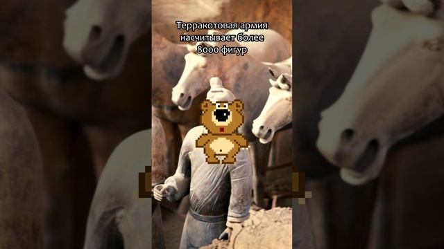 Мишка и армия