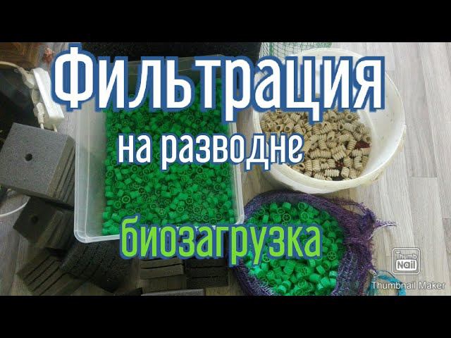 Наша фильтрация. Фильтрация в нерестовике. Внешний и внутренний биофильтр.