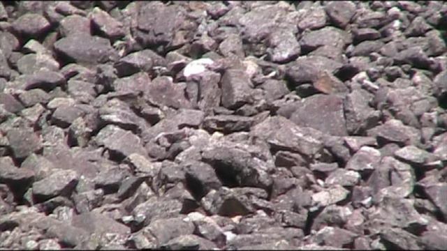 Lens:  Вперед в Анды, Венесуэла, ч.2