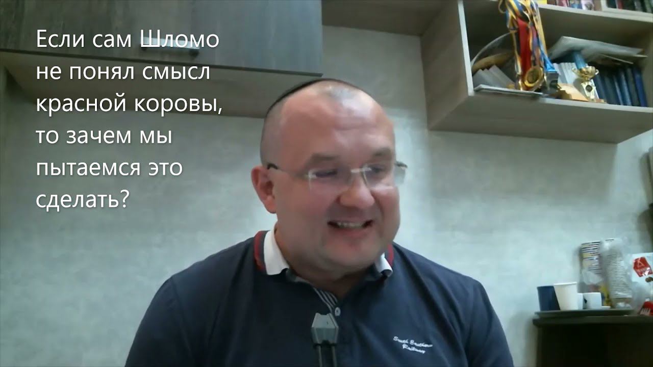Если сам Царь Соломон не понял смысл мицвы, то зачем мы пытаемся это сделать? Недельная глава Хукат