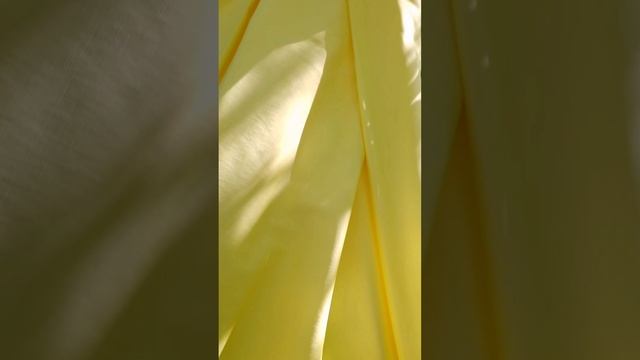lv_0_20230730170453.mp4