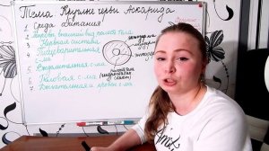 Круглые черви| Аскарида.